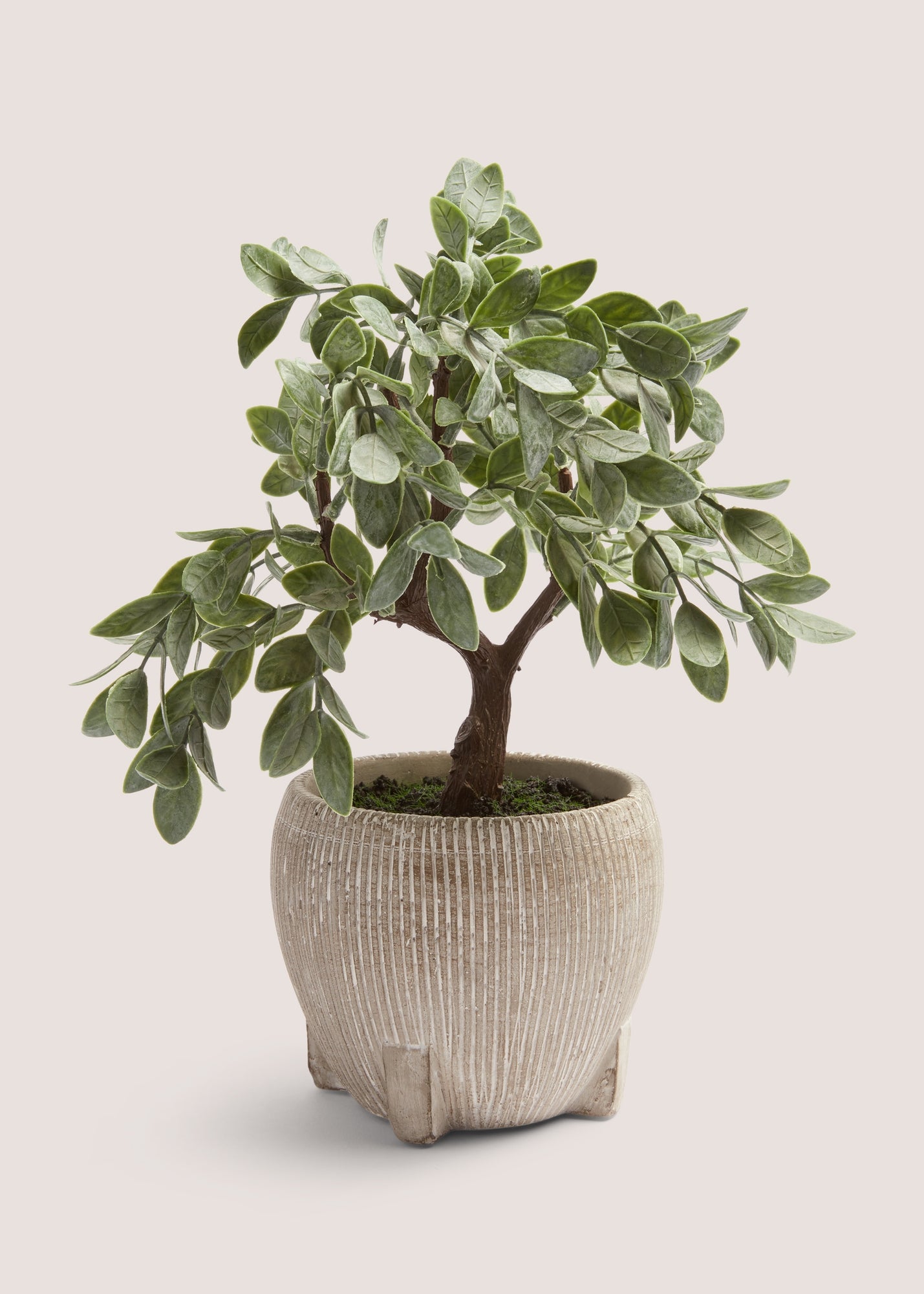 Buy Cabana Bonsai Tree (30cm x 30cm x 19cm)-Green Online in Oman from ...