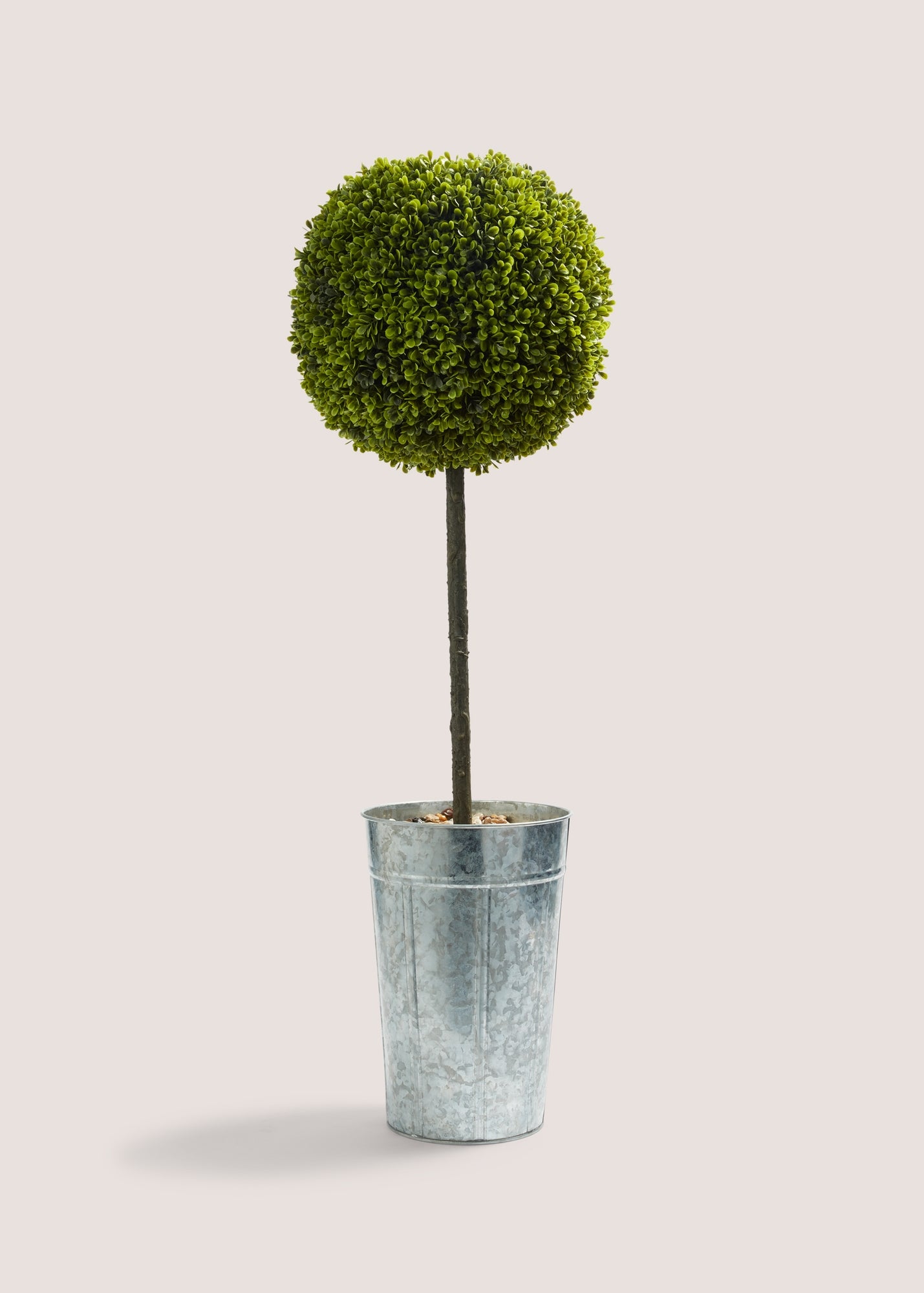Buy Ball Topiary in Galvanised Pot (30cm x 30cm x 90cm)-Natural Online ...