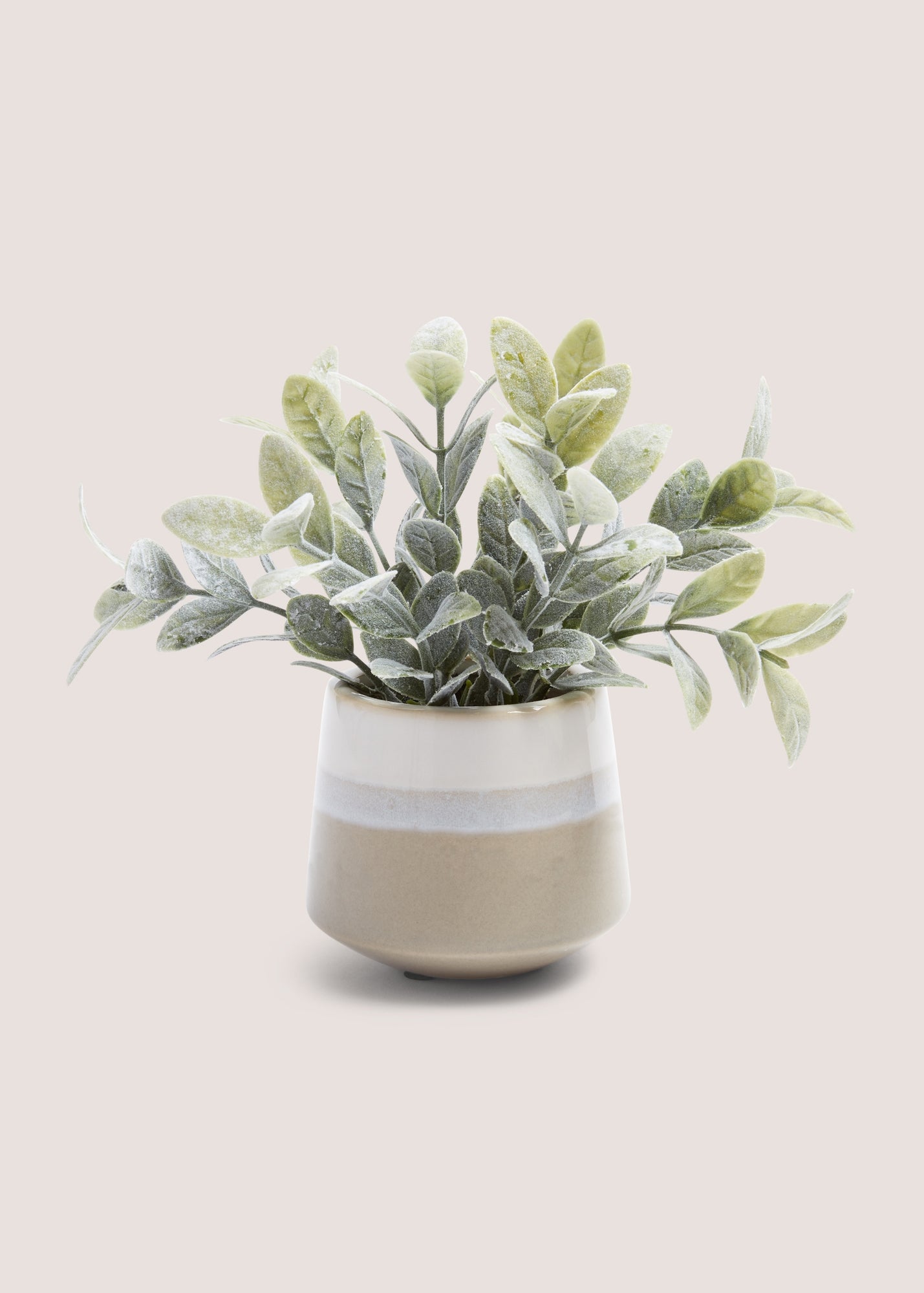 Buy Mini Ombre Eucalypt Pot (17cm x 12cm x 12cm)-Green Online in Jordan ...