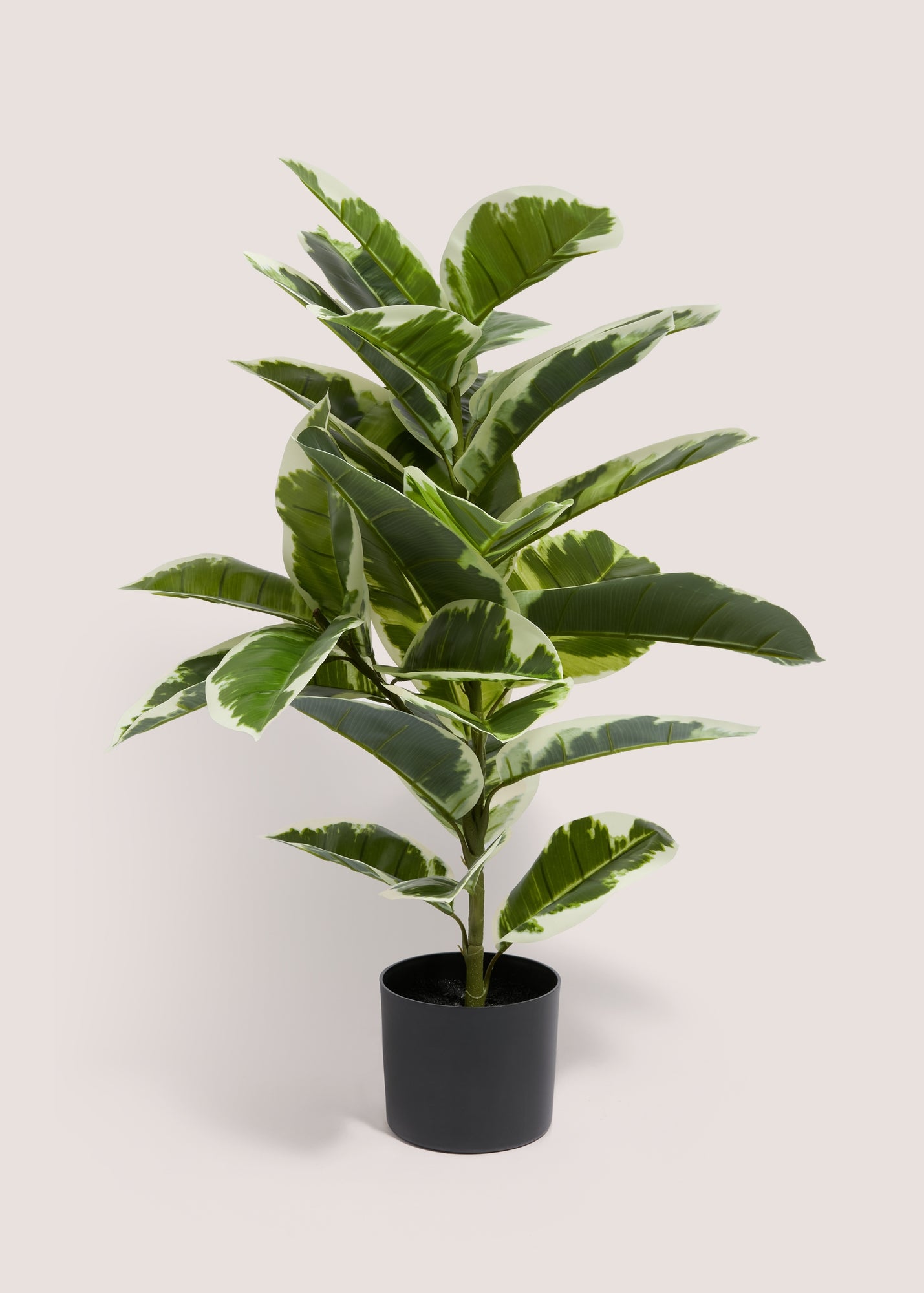 Buy Oak Tree (75 cm)-Natural Online in Qatar from Matalan