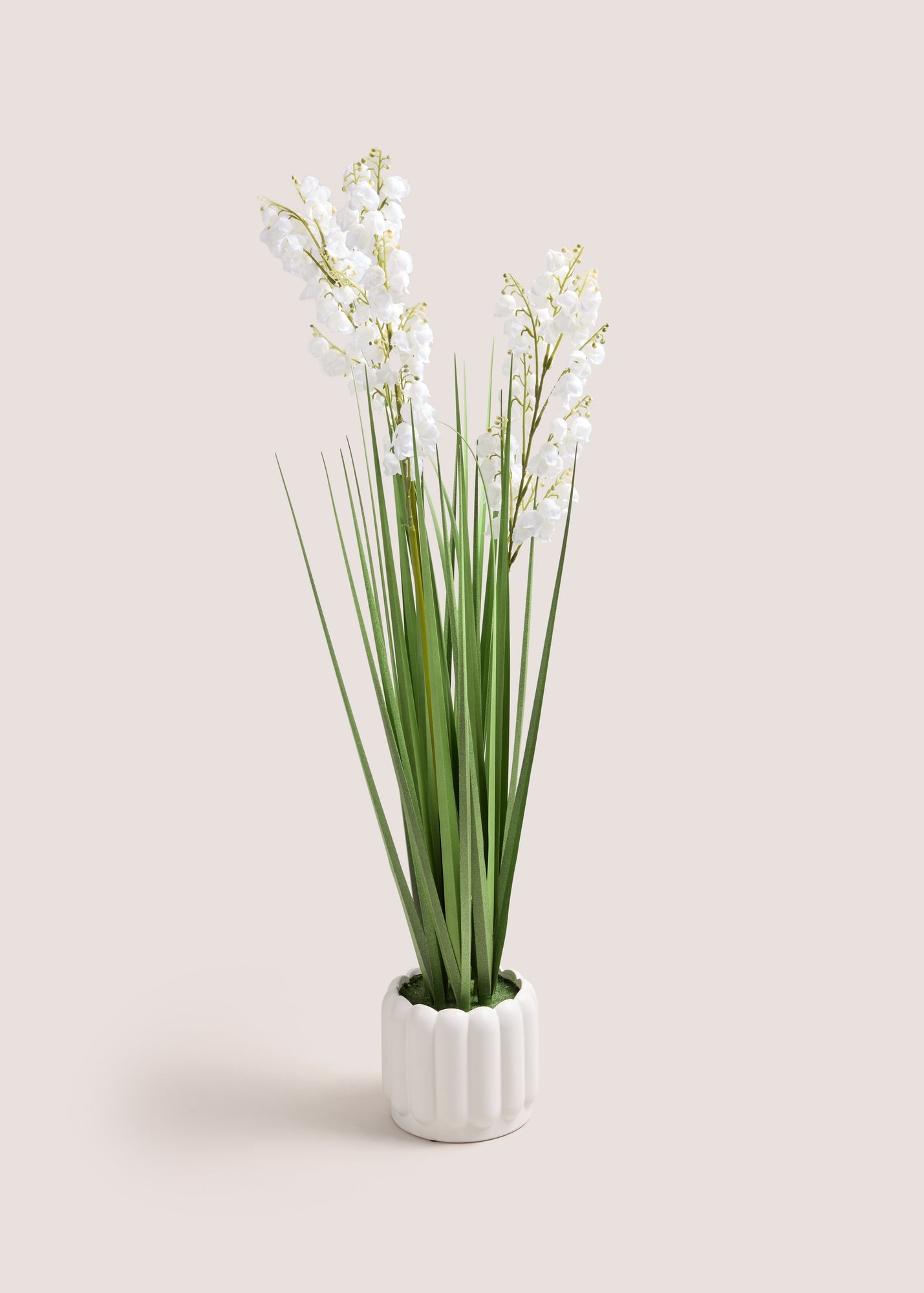 Buy Tall Grass Flowers In Ribbed Pot (90cm x 24cm x 24cm)-White Online ...