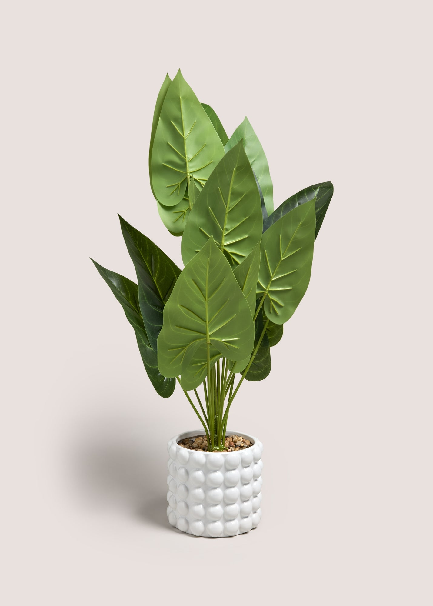 Buy Bobble Plant (65cm x 40cm x 40cm)-White Online in Jordan from Matalan