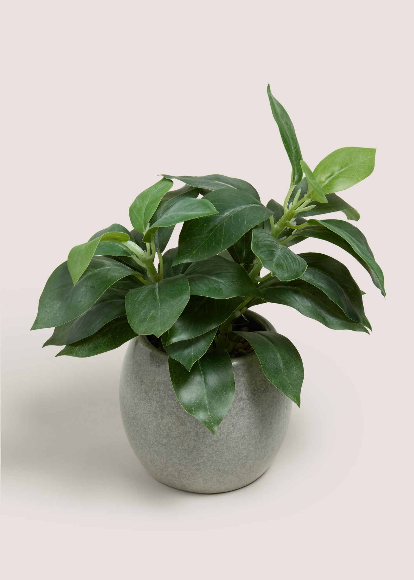 Buy Renew Plant-Green Online in UAE from Matalan
