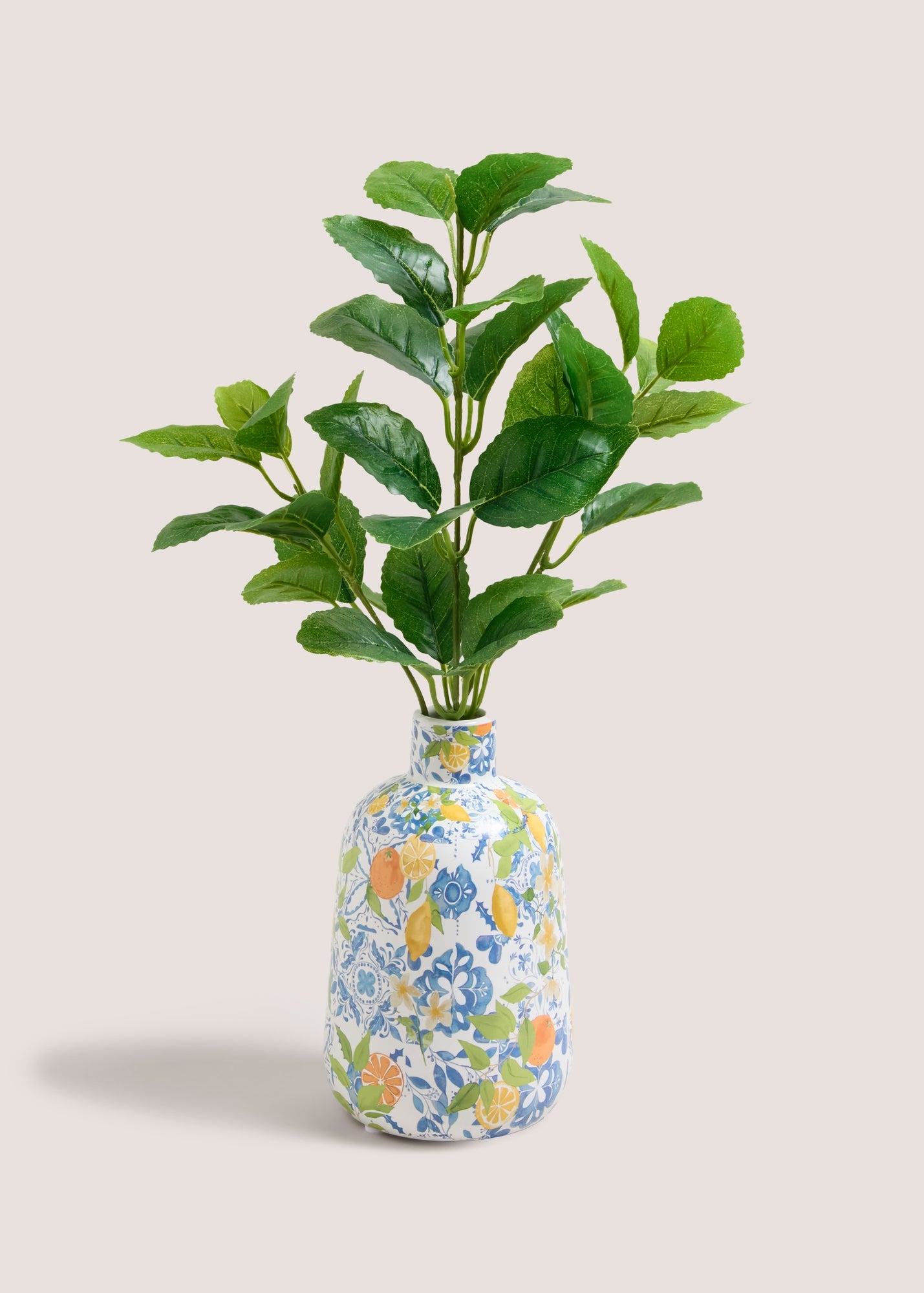 Buy Pot Lemon Tree-Green Online in Bahrain from Matalan