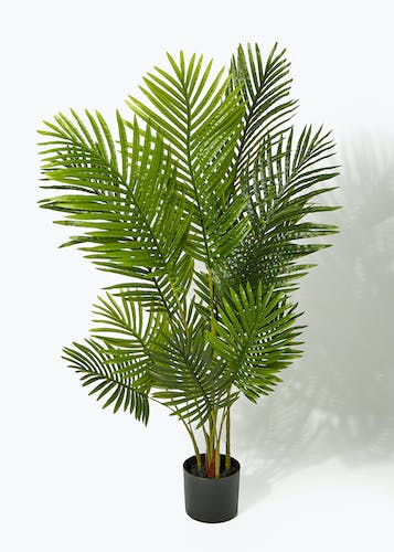 Buy Palm Tree (120cm x 14cm) Online in UAE from Matalan