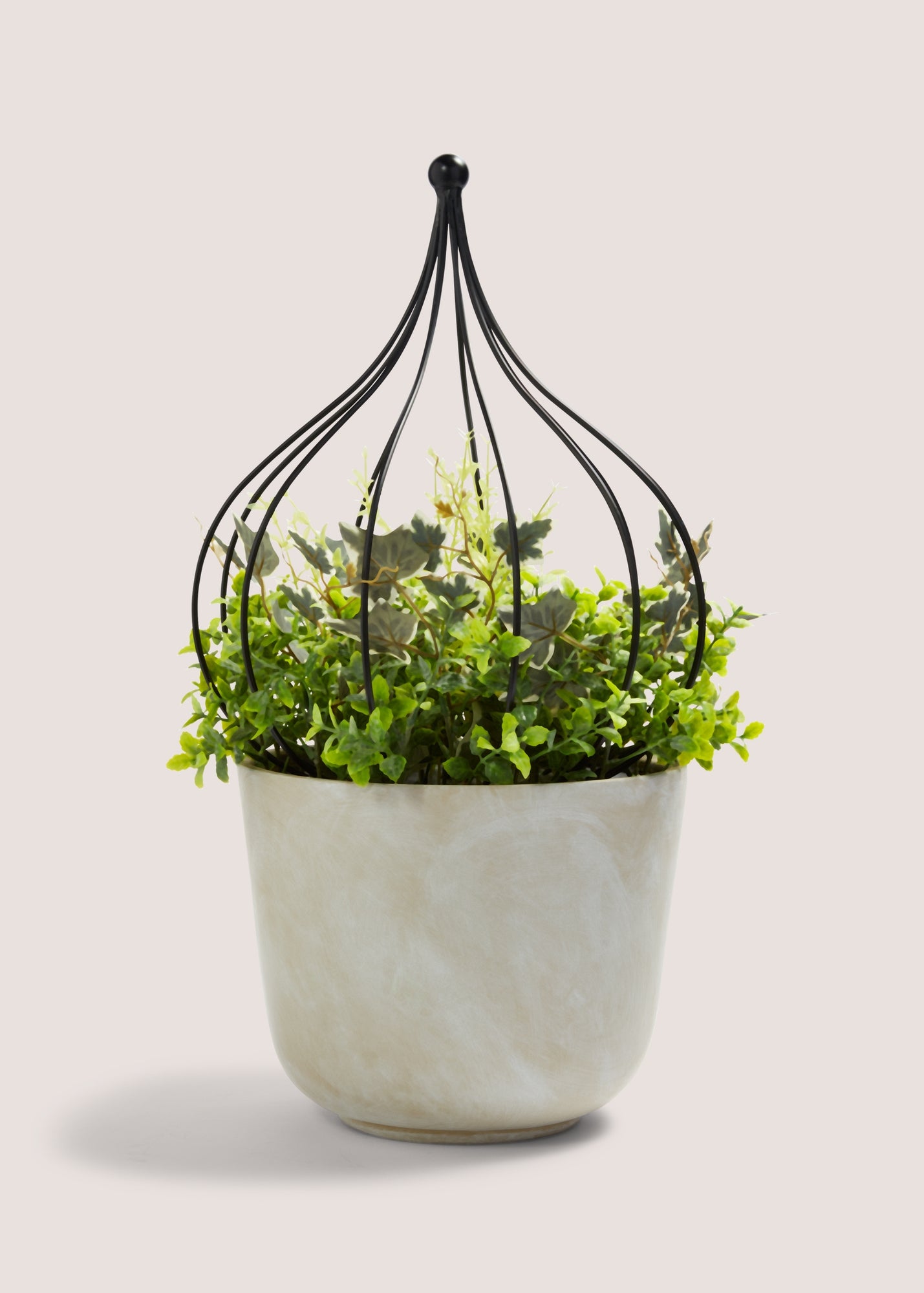 Buy Arrangement in Cement Pot (10cm x 10cm x 10cm)-Green Online in ...